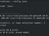 How To Install Java In Fedora