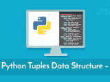 Learn Python Tuples Data Structure Part 2