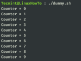 How To Use Until Loop In Your Shell Scripts
