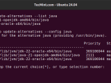How To Install Java Openjdk On Ubuntu 24 04