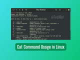 22 Essential Cat Command Examples For Linux Users