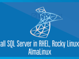 How To Install Sql Server In Rhel Rocky Linux And Almalinux
