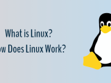 Introduction To Linux And How Does Linux Work