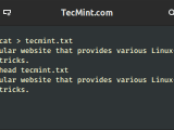 How To Create A File In Linux From Command Line