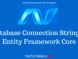 Database Connection String In Entity Framework Core Tektutorialshub