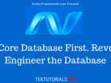 Ef Core Database First Reverse Engineering The Database Scaffolding