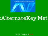 Entity Framework Core Hasalternatekey Method Tektutorialshub