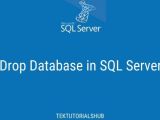 Drop Database In Sql Server Tektutorialshub