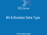 Bit Boolean Data Type In Sql Server Tektutorialshub