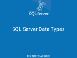 Sql Server Data Types Tektutorialshub