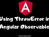 Using Throwerror In Angular Observable Tektutorialshub