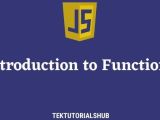 Functions In Javascript Tektutorialshub