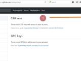 How To Connect To Github Using Ssh Testingdocs