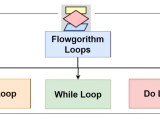Loop Statements Testingdocs