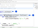 Pyunit Introduction Testingdocs