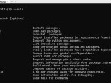 Python Package Manager Testingdocs
