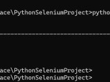 Run Python Script Testingdocs