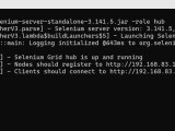 Selenium Grid Setup Testingdocs