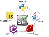 Selenium Python Course Testingdocs