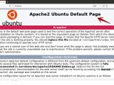 Selenium 4 Project Setup On Ubuntu Testingdocs