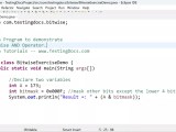 Java Bitwise And Operator Testingdocs