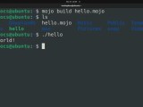 Build Mojo File Testingdocs
