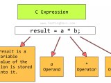 C Expressions Testingdocs