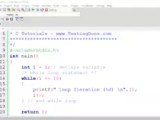 C While Loop Testingdocs