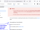 Fix Error Session Not Created Chromedriver 2024 Testingdocs