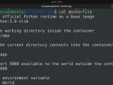 Build A Simple Docker Image Testingdocs