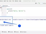 Basic Dart Program Example Testingdocs