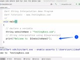 Dart String Interpolation Testingdocs