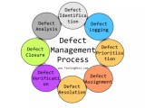 Defect Management Process Testingdocs