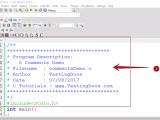 C Comments Testingdocs