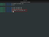 Linux Shell Script Example Testingdocs