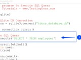Python Execute Sql Query Testingdocs