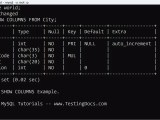 Mysql Database Metadata Testingdocs