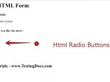 Html Radio Button Testingdocs