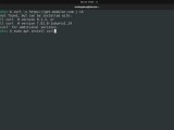 Install Modular Cli Tool Testingdocs