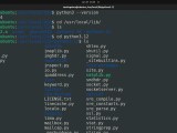Install Python On Ubuntu Linux Testingdocs