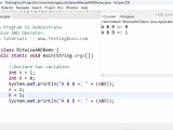 Java Bitwise And Operator Testingdocs