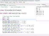 Java Bitwise Operators Testingdocs