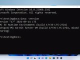 How To Check Java Runtime Environment Version On Windows 11 Printable