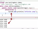 Java While Loop Statement Testingdocs