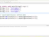 Java Equalsignorecase Method Testingdocs
