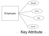 Types Of Attributes In Dbms Testingdocs