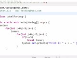 Java For Loop With Examples Testingdocs