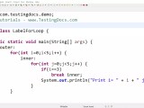Java For Loop With Examples Testingdocs