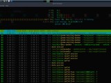 Linux Htop Tool Testingdocs