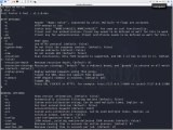 Fuzzing Tools In Kali Linux Testingdocs
